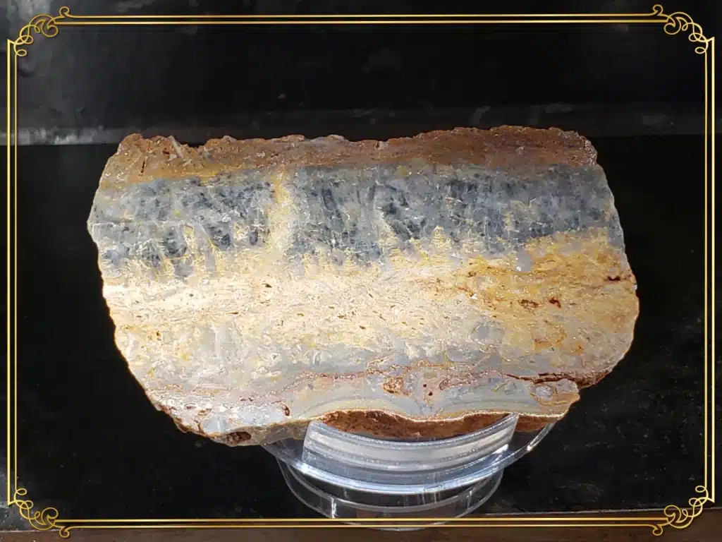 Primitive Life – Little Museum of the World