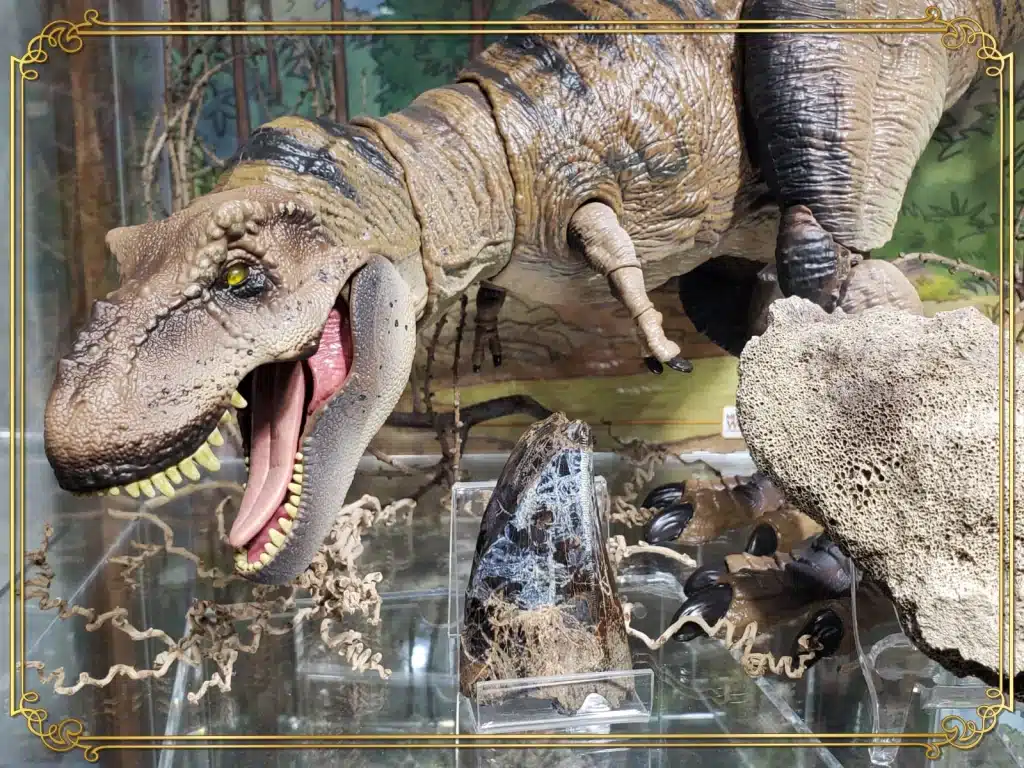 Dinosaur Fossils – Little Museum of the World