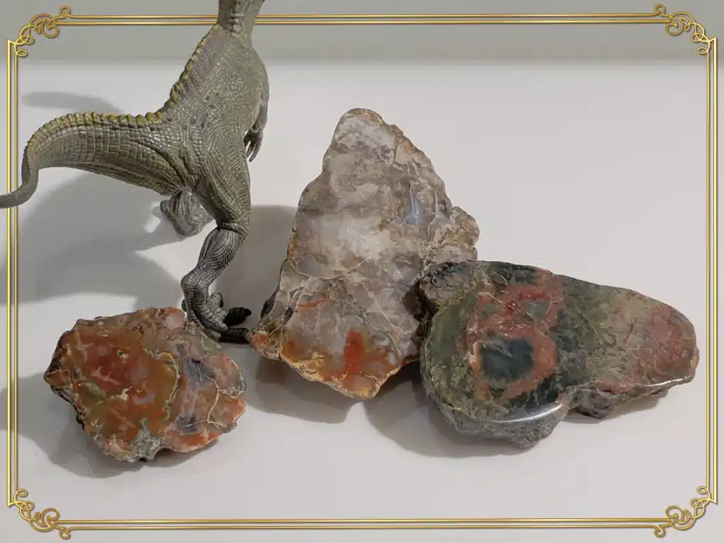 Fossilized Coprolites – Little Museum of the World